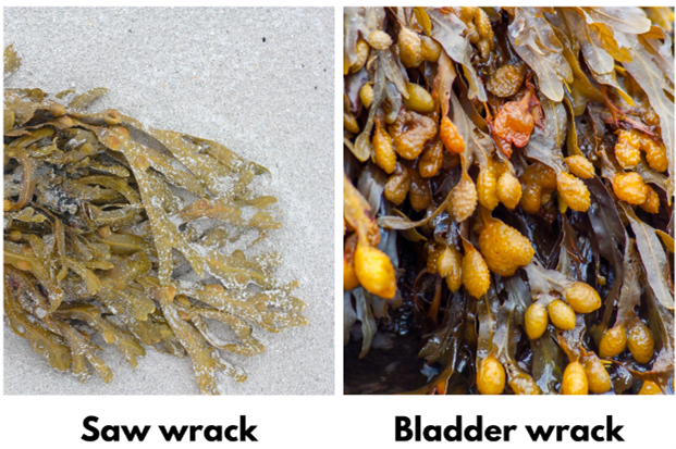 Picture8 – Classroom 42