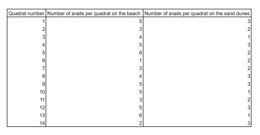 Screenshot 2024-07-15 165904 – Classroom 42