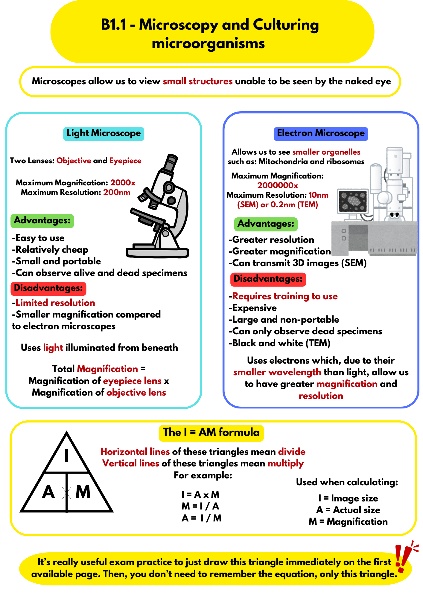 B1.1 – Microscopy and Culturing microorganisms cheat sheet (Foundation ...