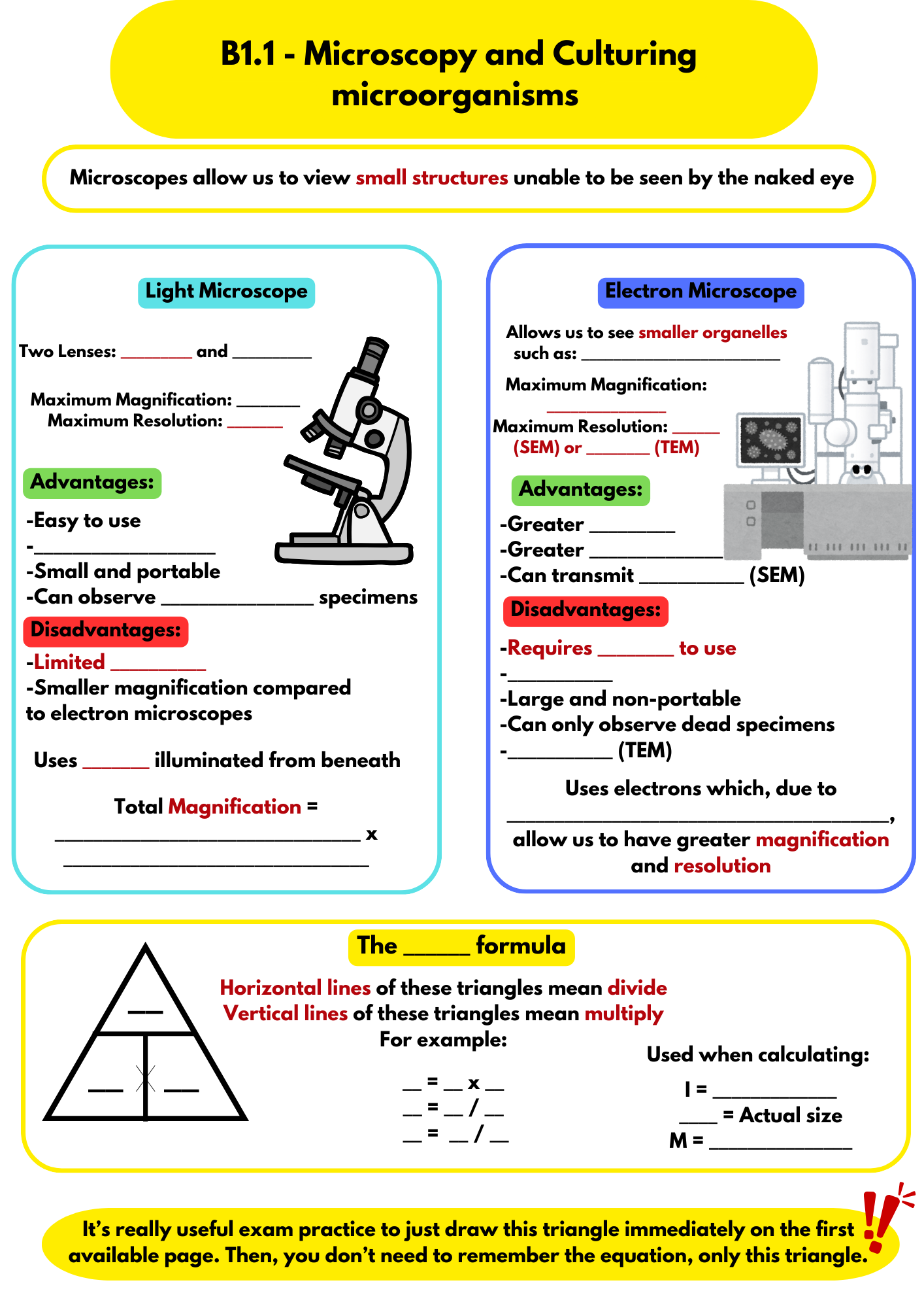 B1.1 – Microscopy and Culturing microorganisms gap sheet (Foundation ...