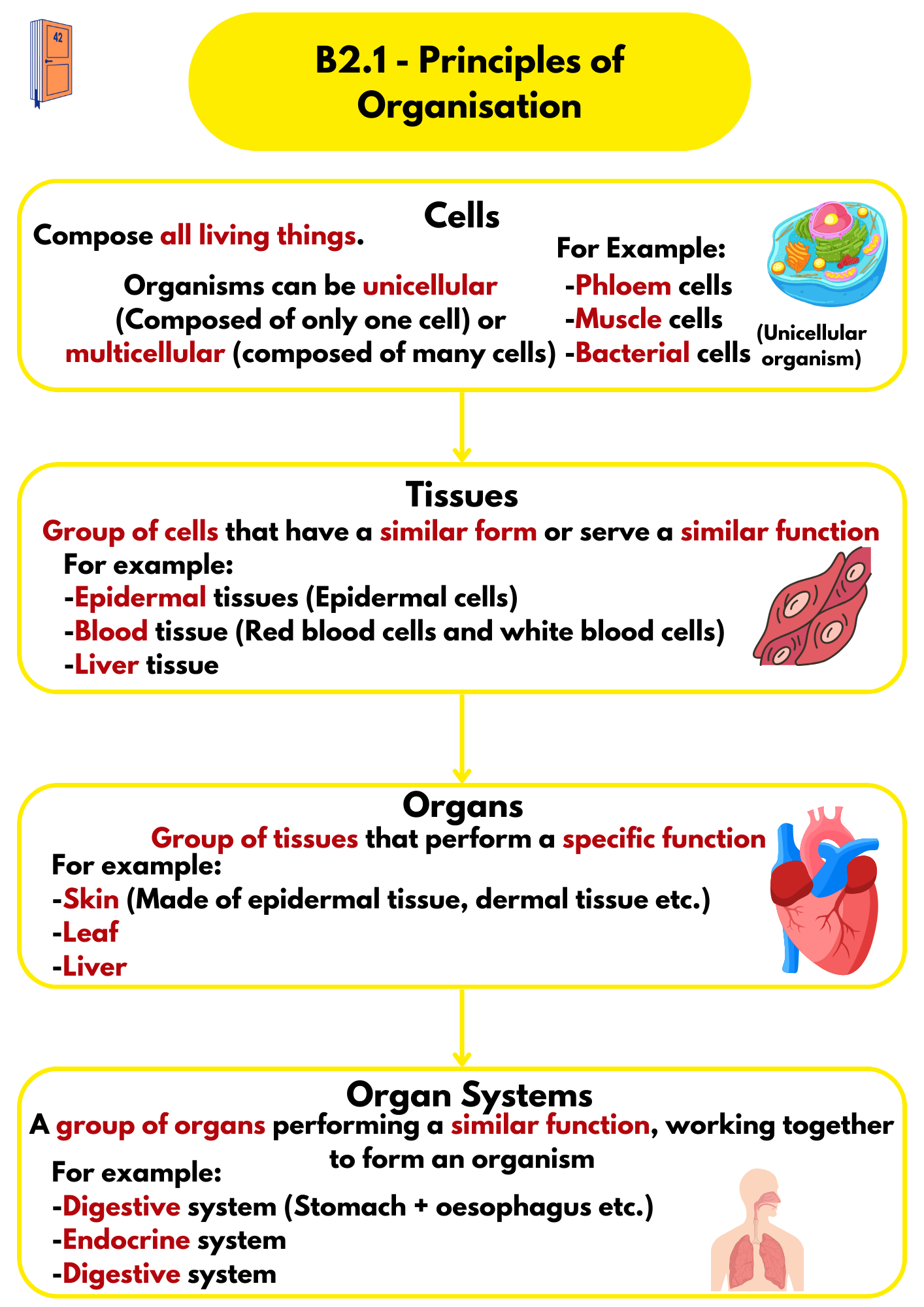 B2.1 – Principles of Organisation cheat sheet (1) – Classroom 42