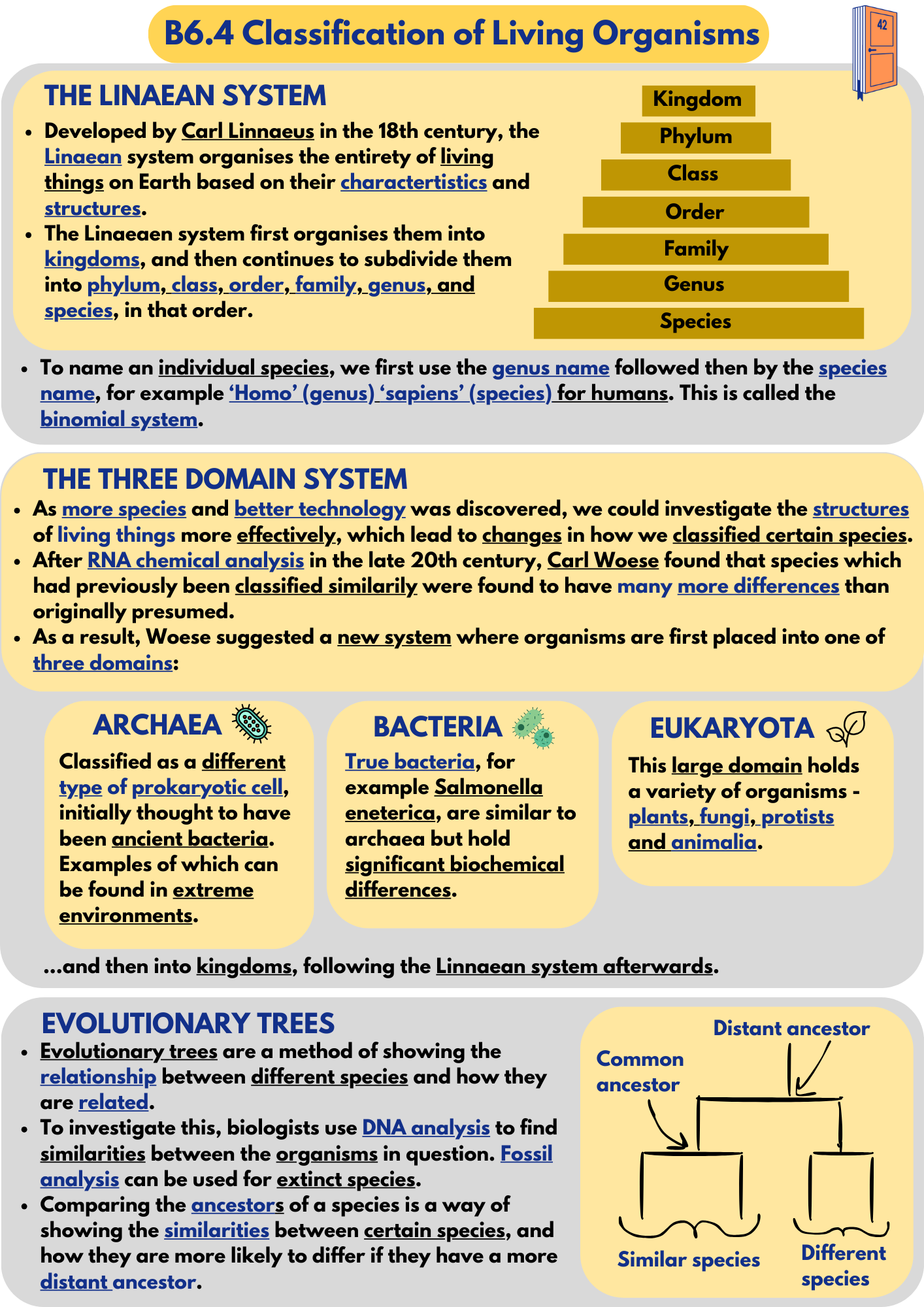 B6.4 Classification of Living Organisms (AQA GCSE Combined Higher ...