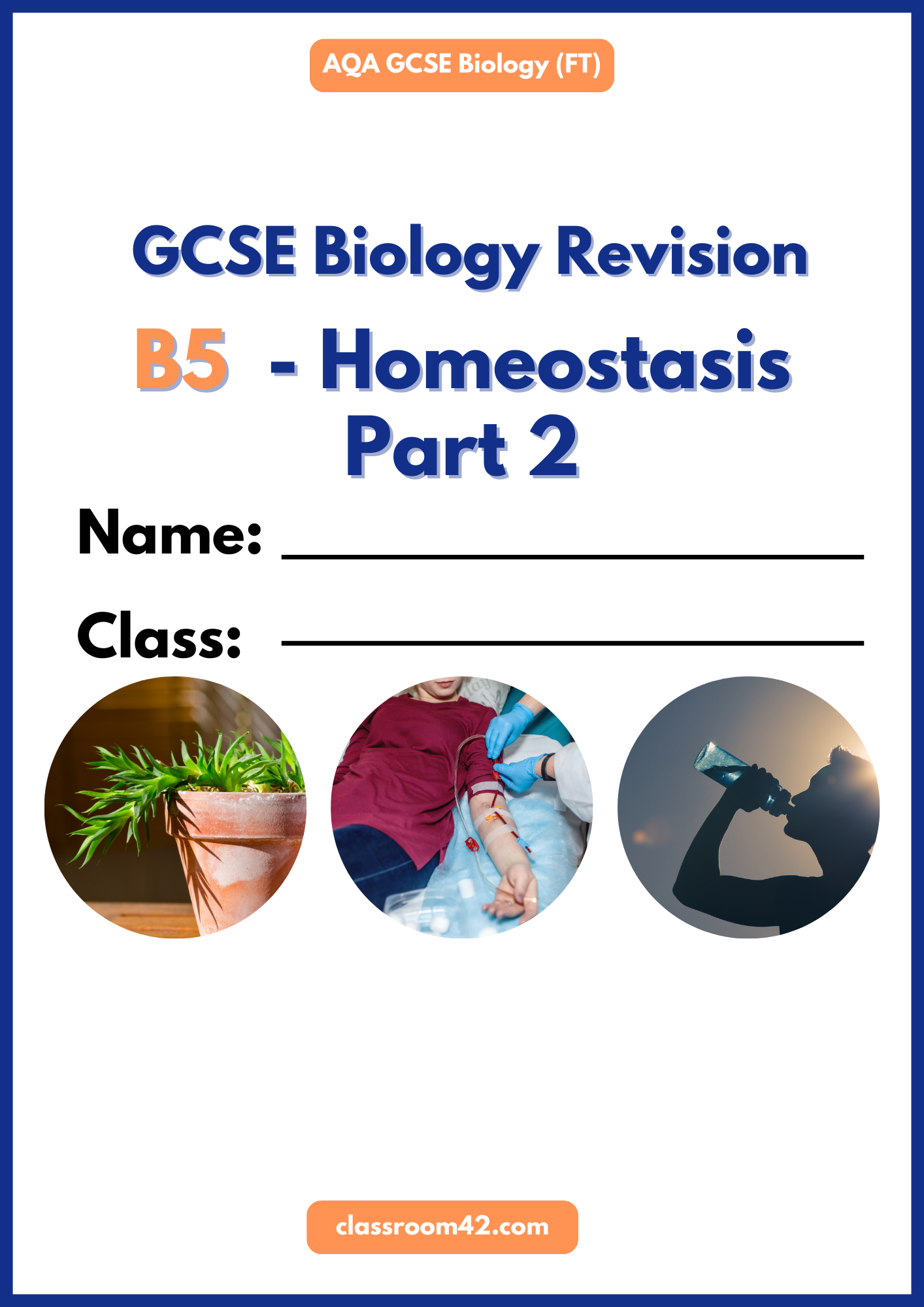 B5 Homeostasis Part 2 B FT Student Booklet – Classroom 42