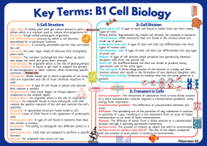GCSE Science – Key Term Posters – Classroom 42