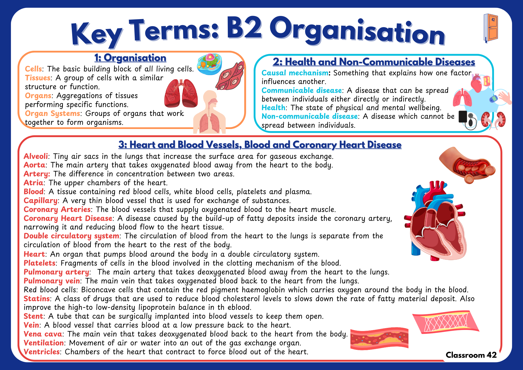B2 Organisation – Classroom 42