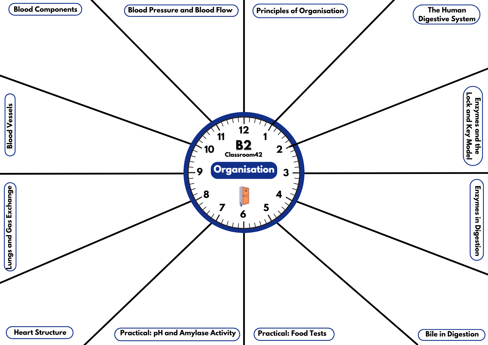 B2 Revision Clocks (Biology) – Classroom 42