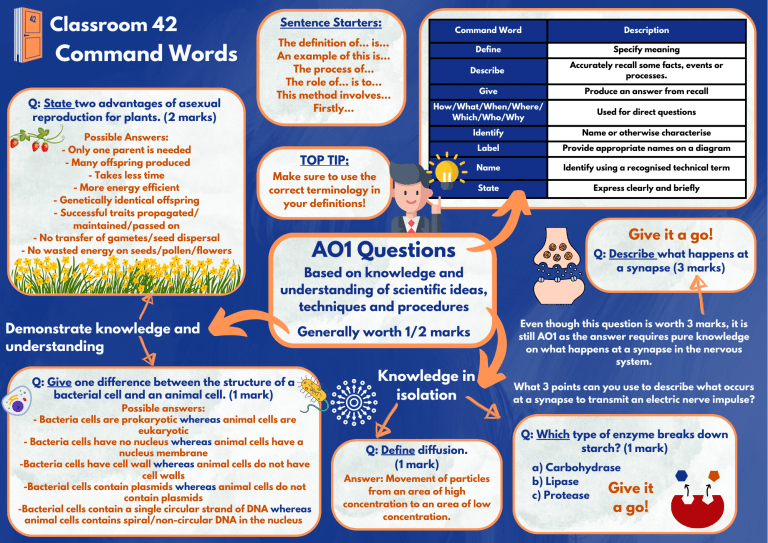 Assessment Objectives Posters – Classroom 42